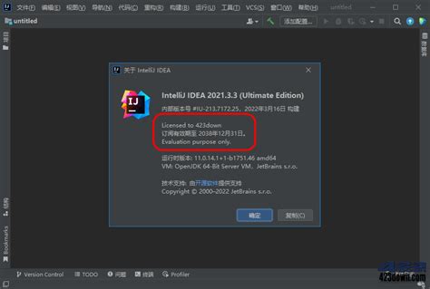 IntelliJ IDEA 2021 3 3 Ultimate 永久激活版 423Down