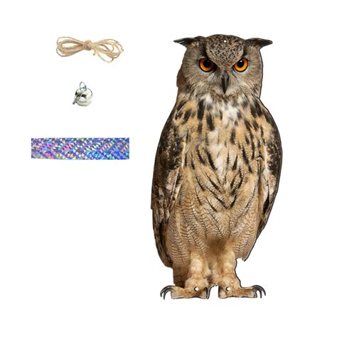 Owl Decoys To Scare Birds Squirrels Awayfake Owl Decoys To Scare