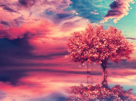 Tree Swing Wallpapers 4k Hd Tree Swing Backgrounds On Wallpaperbat