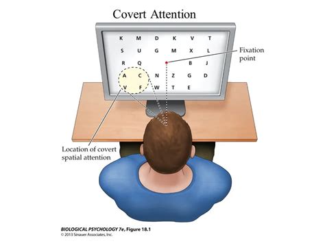 신경과학 201 주의 관심의 뇌과학 1