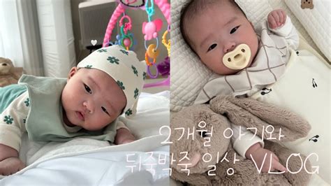 육아 Vlog 뒤죽박죽 2개월 아기와의 일상 Vlog 침범벅 아기 턱받이 구매 토끼잠 연속 👶🏻🐰 Youtube