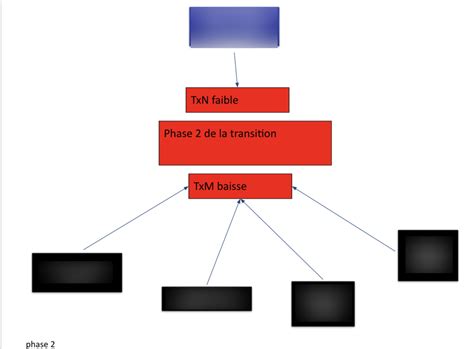 La Transition Démographique P2 Diagram Quizlet