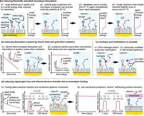 Figure 1 From Week Long Operation Of Electrochemical Aptamer Sensors