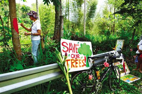 Miriam Files Resolution To Probe Makiling Tree Cutting Inquirer News