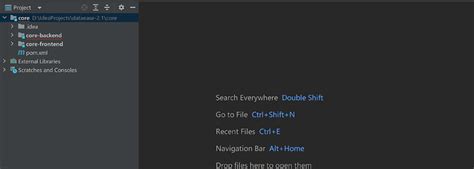 请问idea二次开发，哪个目录结构是我能本地运行的 Dataease 社区论坛 Fit2cloud 飞致云