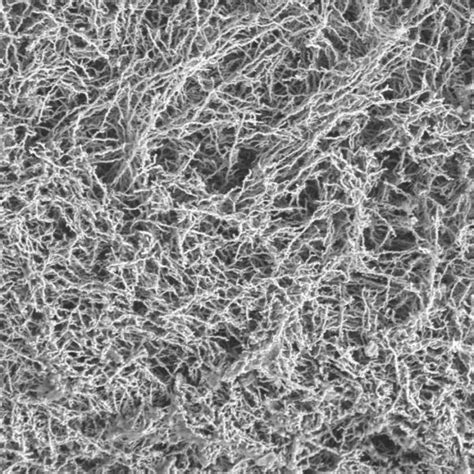 Metallic Nanowires