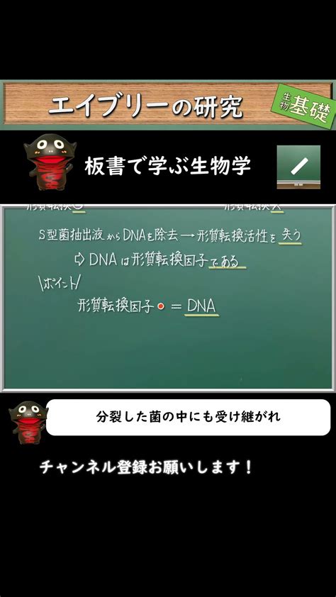 遺伝子の本体の発見史2エイブリーの研究まとめ生物基礎43 shorts 遺伝子 形質転換 板書で学ぶ生物学 DNA 高校生物