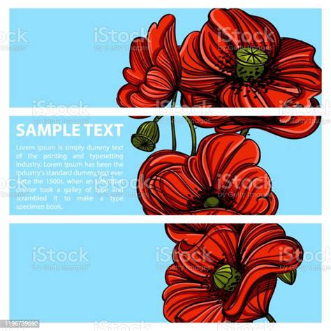 파란색 배경에 손으로 그린 빨간 양귀비와 벡터 수평 배너의 집합입니다 0명에 대한 스톡 벡터 아트 및 기타 이미지 0명 꽃 나무 꽃 식물 Istock