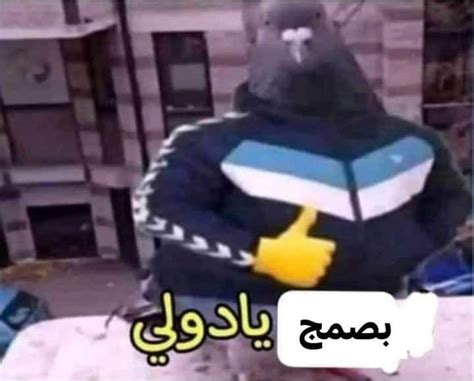 بصمج يا دولي Quiz