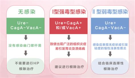 幽门螺杆菌 Hp 分型检测的临床意义和价值 郑州赛图康生物科技有限公司