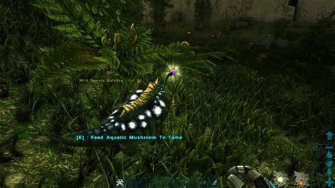 Как приручить бульбодога в Ark Survival Evolved Nexusmod Ru