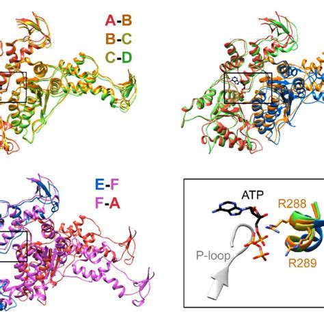 Pore Loops Of Vps4 Form A Spiral Staircase To Coordinate The Substrate Download Scientific