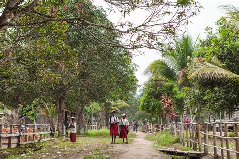 Mengenal 5 Wilayah Adat Yang Jadi Dasar Pemekaran Provinsi Papua