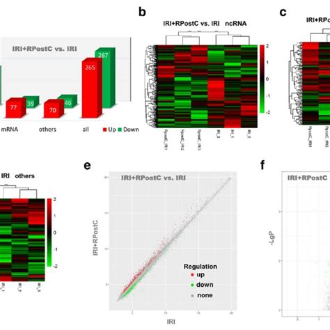 Genetic Difference Analysis Data A An Affymetrix Rat Gene 20 St Rna