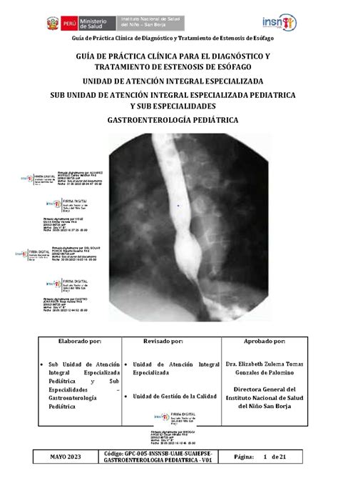 Gpc De Estenosis De Esófago Mayo 2023ff Del Niño San Borja Guía De