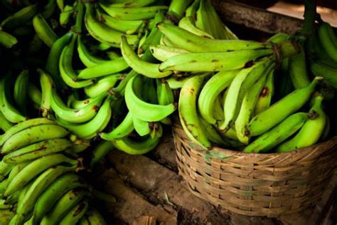 Beneficios Del Plátano Verde Para Prevenir El Cáncer Colorrectal Según