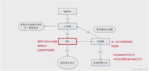 Redis 持久化 Csdn博客