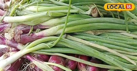 सेहत का खजाना है यह हरी सब्जी इन 8 औषधीय गुणों से भरपूर बीमारियों के