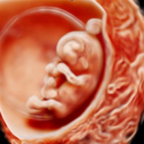 Dra Valeria Sofía Videla Olivos Ginecóloga Profesional Independiente Linkedin Dra Valeria Sofía Videla Olivos Ginecóloga Profesional Independiente Linkedin