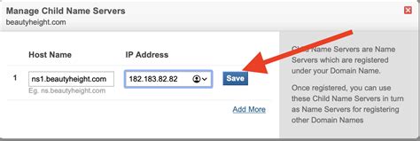 How To Create A Custom Nameservers Ehostingserver