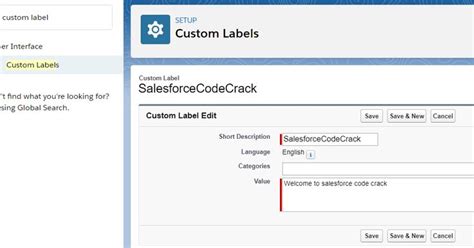 how to access custom labels in lightning web components how to use