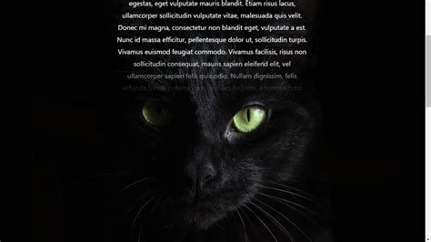 Css Scroll Driven Fading Text Guillaume Duverger Blog Développement Et