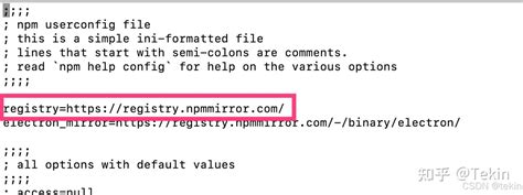 Node Electron Node Npm Electron