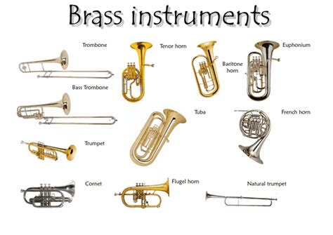 How Many Types Of Instruments Are There Cheap Sale