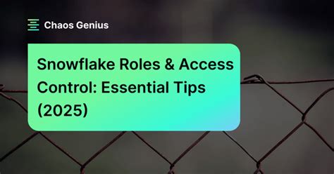 Snowflake Roles And Access Control Essential Tips 2025