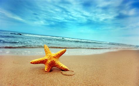 Summer Playlist Straight From The Music Director WVUA 90 7 FM