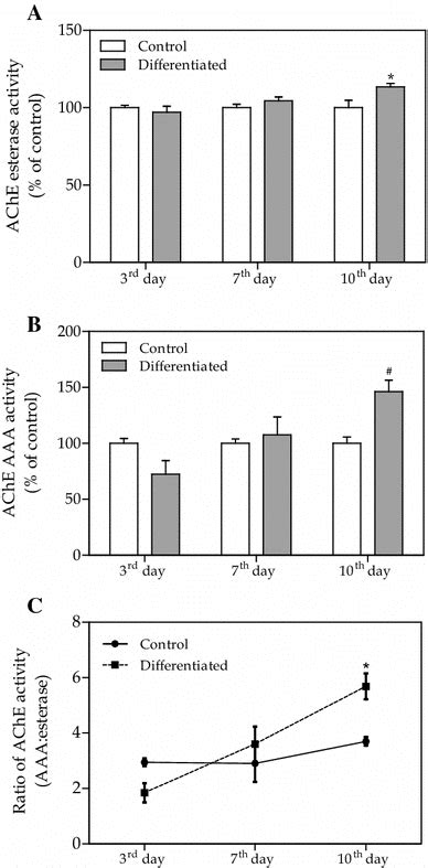 Differentiation Induced Alterations In Esterase And Aaa Activity Of