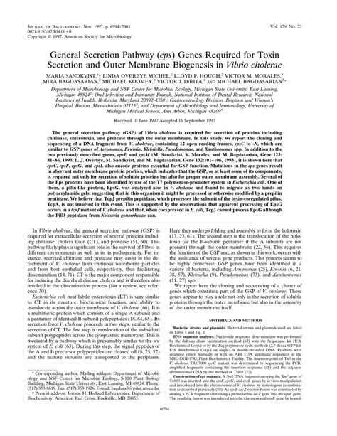 Pdf General Secretion Pathway Eps Genes Required For Toxin