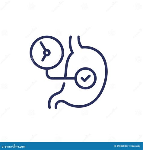 Digestion Time To Digest Line Icon With Stomach Stock Vector