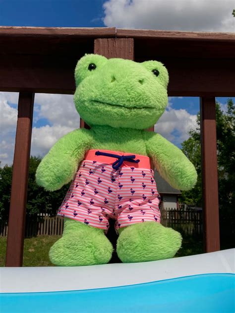 Pin By 🧿𝙼𝚒𝚕𝚘🧿 On Build A Bear Frog Cute Frogs Frog Pictures Cute