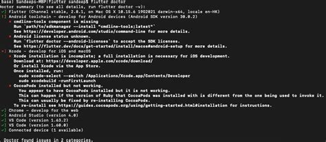 Flutter Doctor Reports Fine In Terminal But Fails In VSCode Run From Command Palette Issue