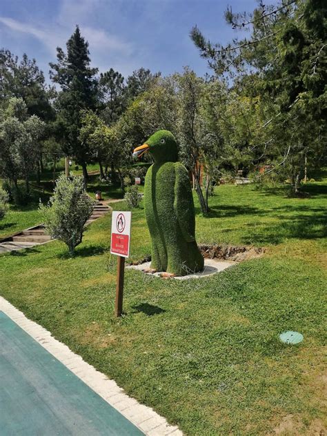 Grass Figures Polingroupgr