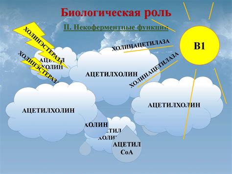 Фармакотерапия витаминами группы B: B1 и B2 - online presentation