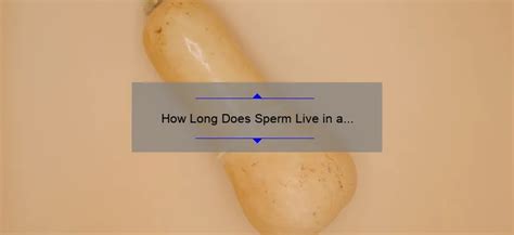 How Long Does Sperm Live In A Condom Find Out The Truth Sperm Blog