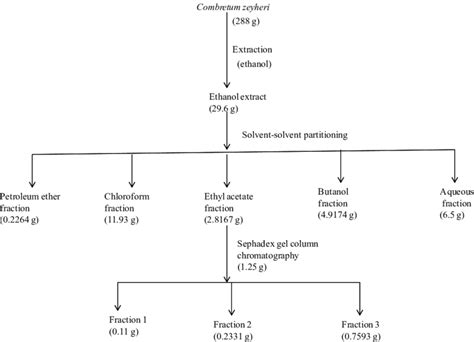 Antifungal Activity Of Plant Extracts By The Agar Disc Diffusion Method Download Table