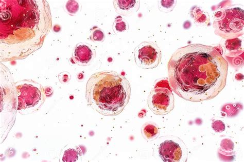 Stem Cell The Building Blocks Of Life Versatile And Potent Medical
