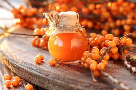 Морс из облепихи на зиму простой и вкусный рецепт как приготовить