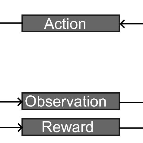 Relationship Between The Components Of The CoBeL Spike Framework The