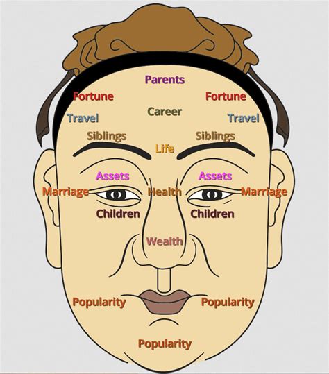 The Topographical Map Of Your Face Invisible Architecture