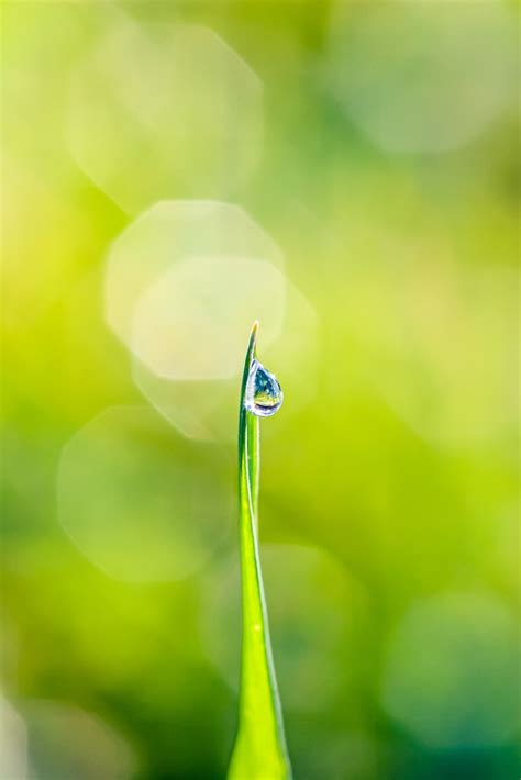 Best Time To Fertilize Lawn Before Or After Rain