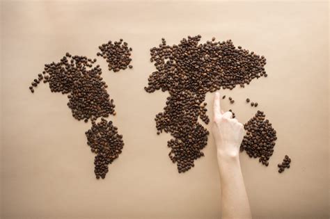The Fascinating Life Cycle Of Coffee Beans From Seed To Your Cup