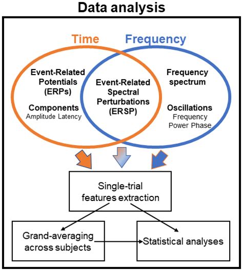 8 schematic representation of the analyses applied to the eeg data