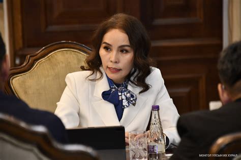 Улс төрийн намын тухай хууль Шинэчилсэн найруулга ийн хэрэгжилтийг эрчимжүүлэх талаар