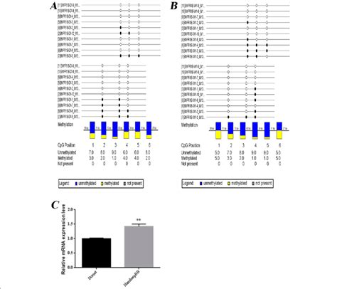 Sequencing Data Validation A And B Bisulfite Sequencing Of Bmpr1b