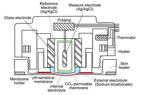 Transcutaneous Pco2 Sensor The Skin Heater Is Necessary In Addition To
