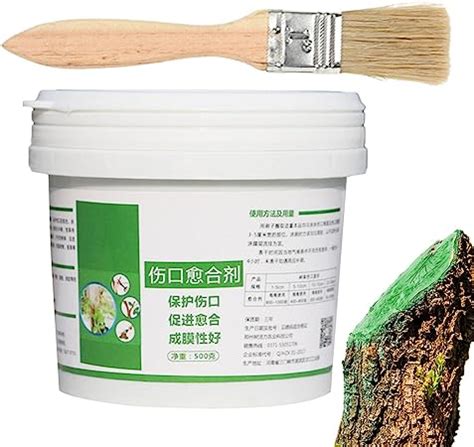 Amazon co jp 植物成長調整剤 癒合剤 植物癒合剤 盆栽癒合剤 樹木切り口保護剤 枝の切り口に塗る薬 500g 盆栽 樹木 植物用